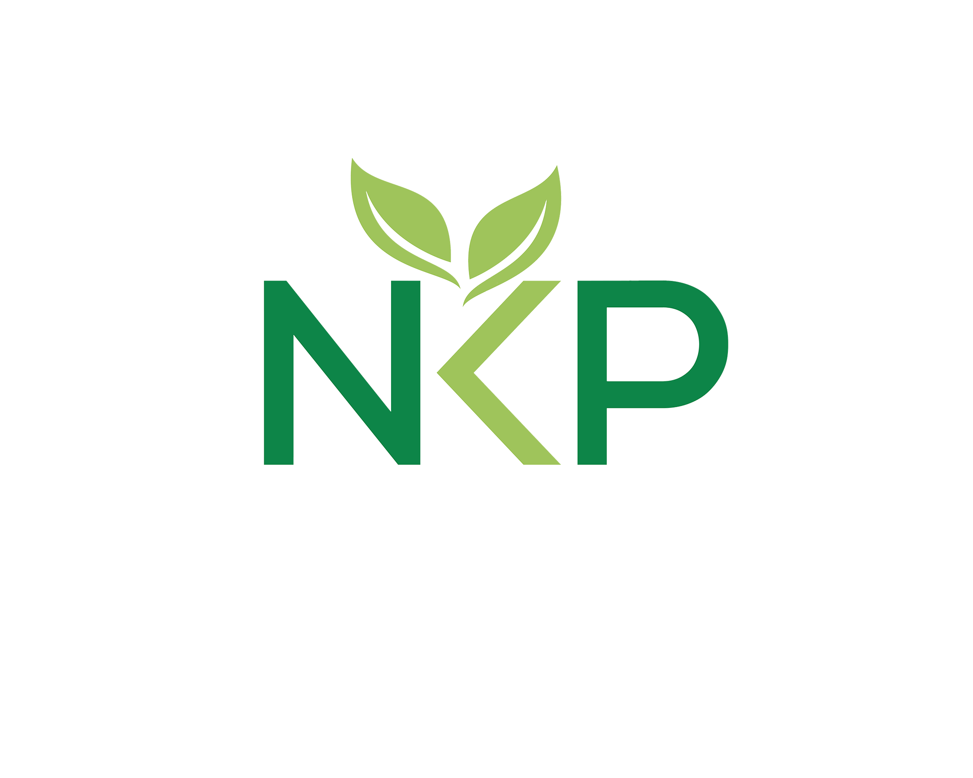 NKP Carbon Registry | Chaco Vivo REDD+